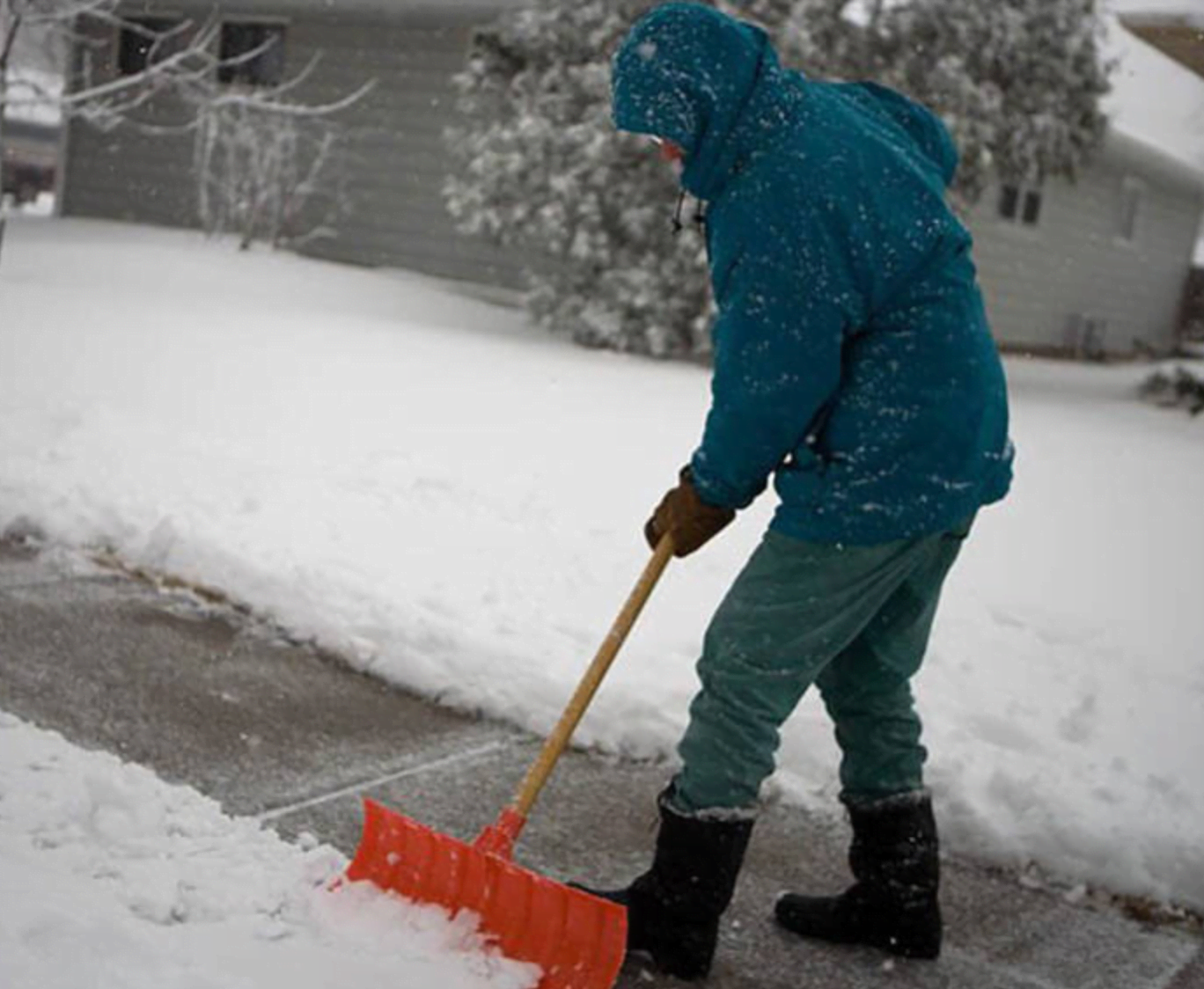 Home and Garden Services HomeWatch Handyman Gardening Snow Removal Home ...